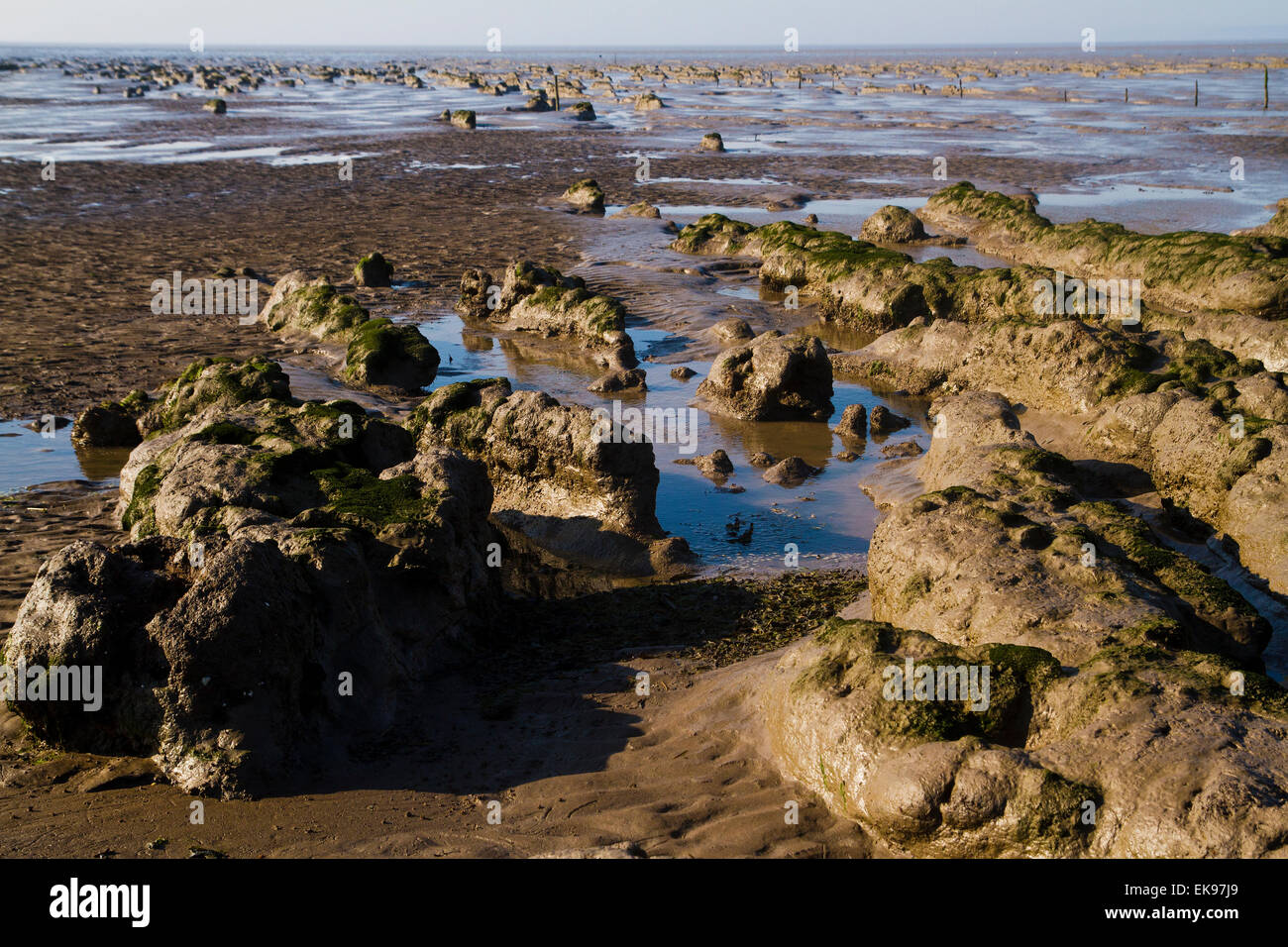 Bridgewater bay nature reserve hi-res stock photography and images - Alamy