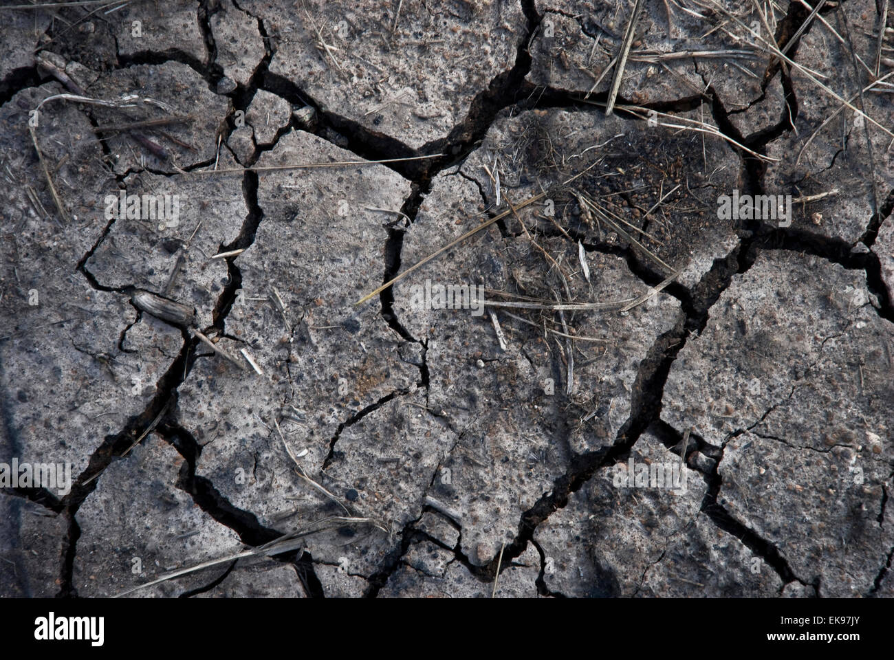 background from the cracked soil Stock Photo - Alamy