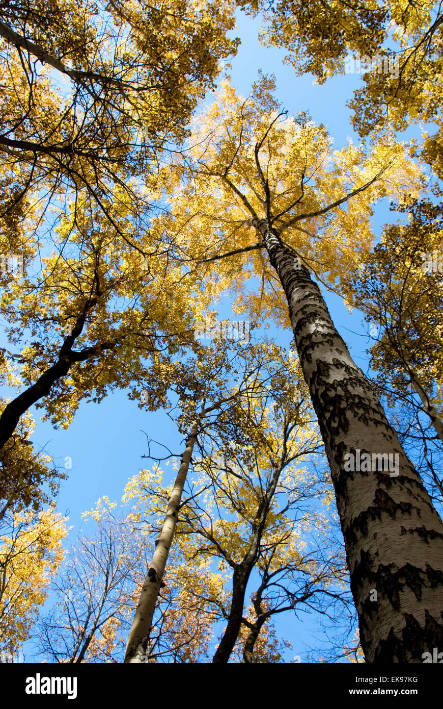 Lush grass field stretching hi-res stock photography and images - Alamy