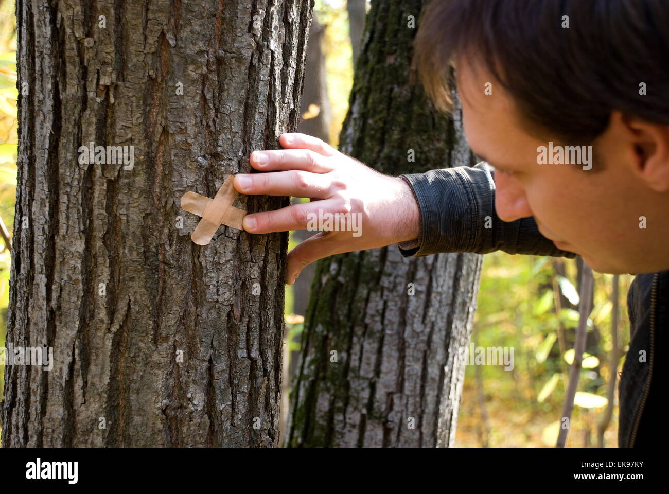 man stick plaster on wood Stock Photo - Alamy