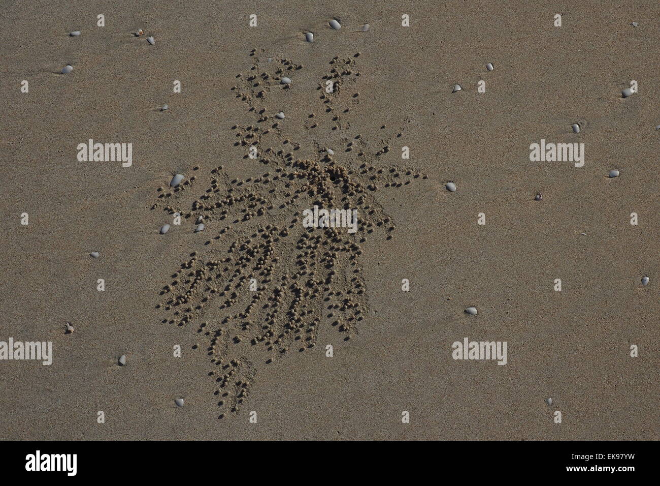 Sand pellets hi-res stock photography and images - Alamy