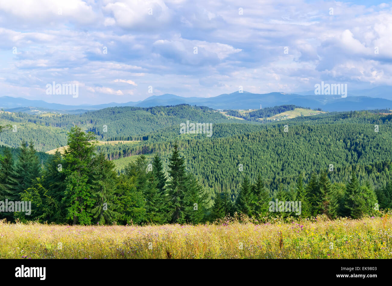 Ukraine carpathians forest landscape aerial hi-res stock photography ...