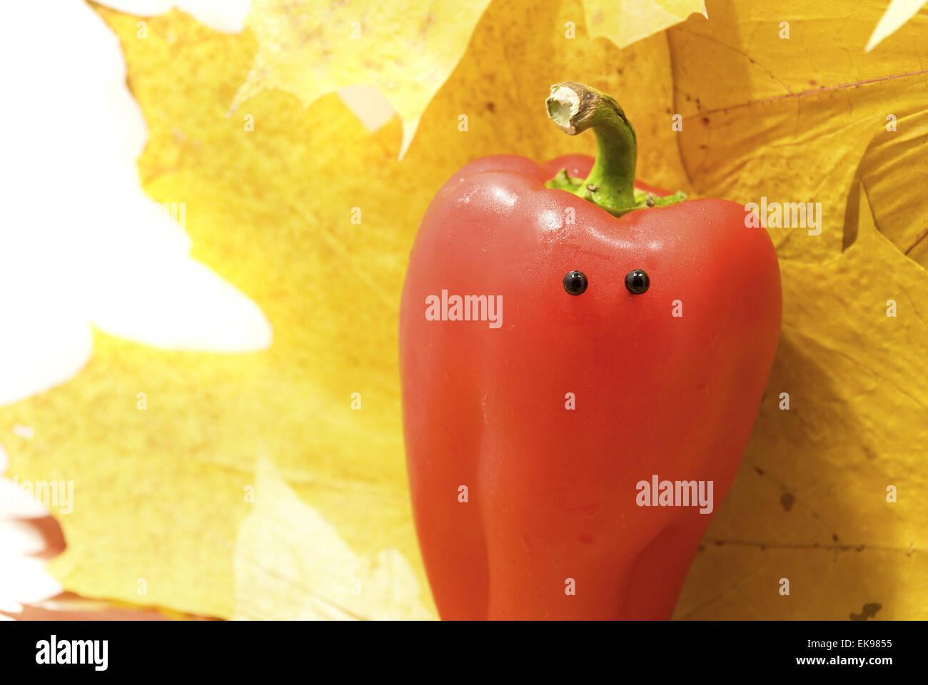 pepper with eyes isolated on white Stock Photo - Alamy