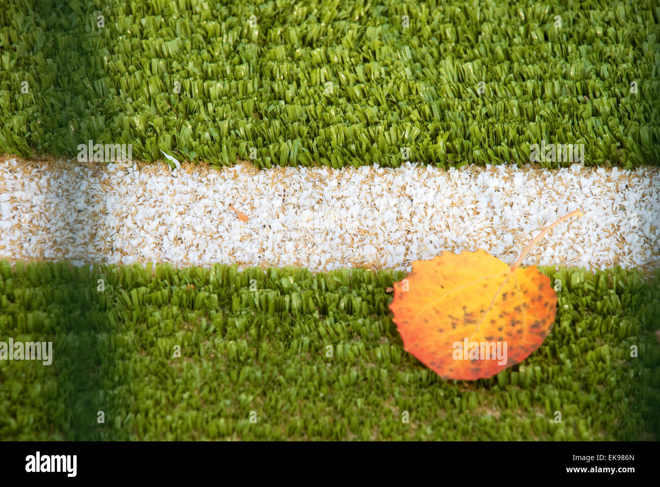 football field with autumn leaves Stock Photo - Alamy