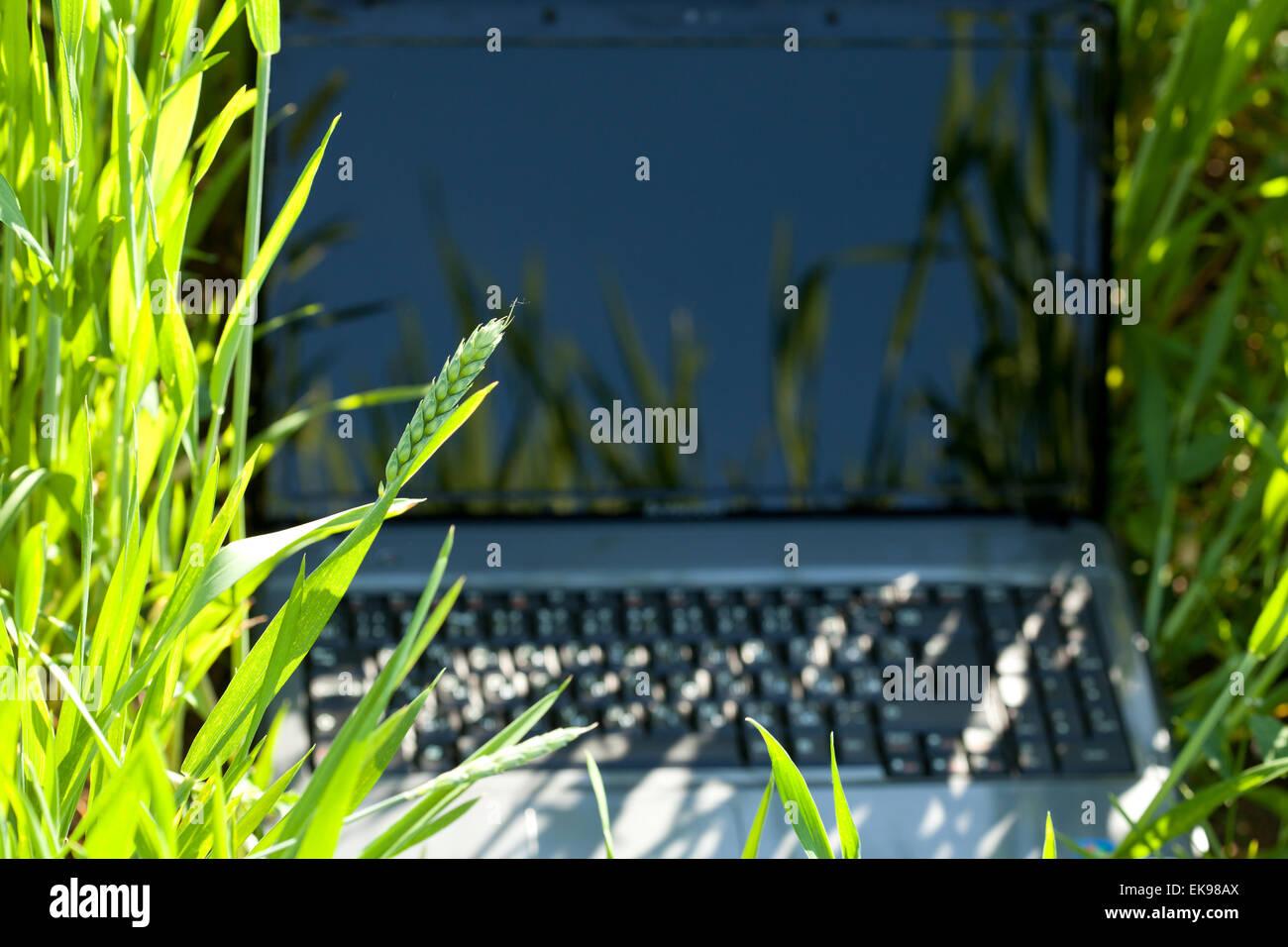 laptop in green grass Stock Photo - Alamy
