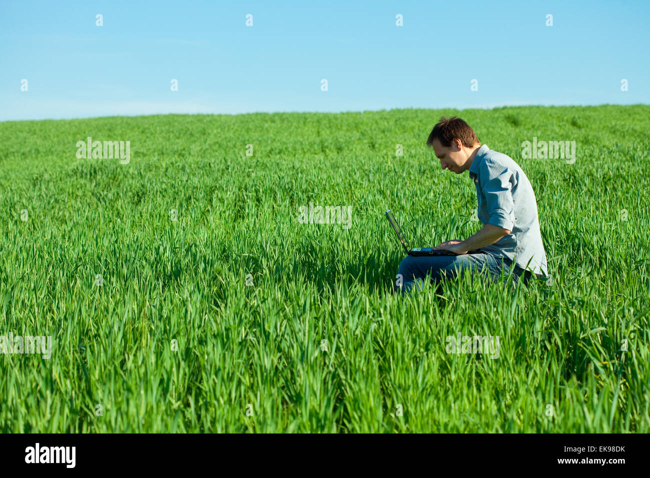 young man using laptop in the field Stock Photo - Alamy