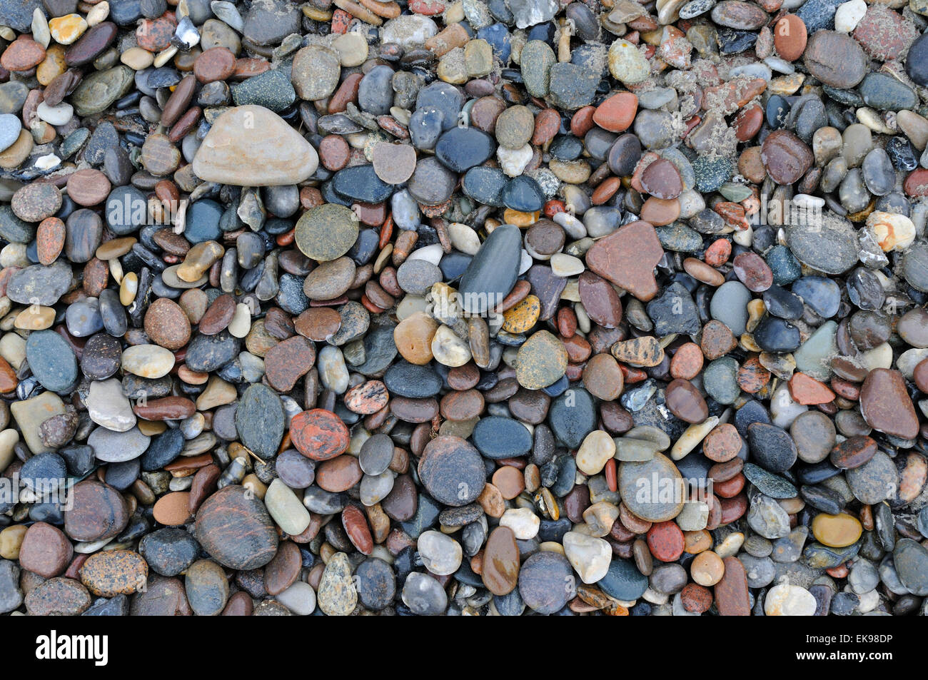 Shingle on the ground Stock Photo - Alamy