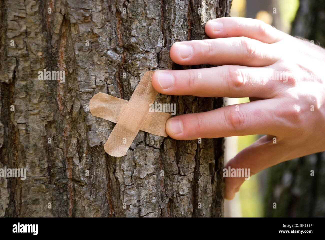 Earth plaster hi-res stock photography and images - Alamy