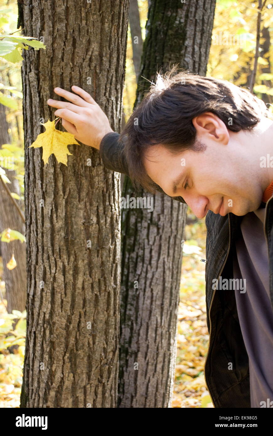 man standing near the tree in autumn forest Stock Photo - Alamy