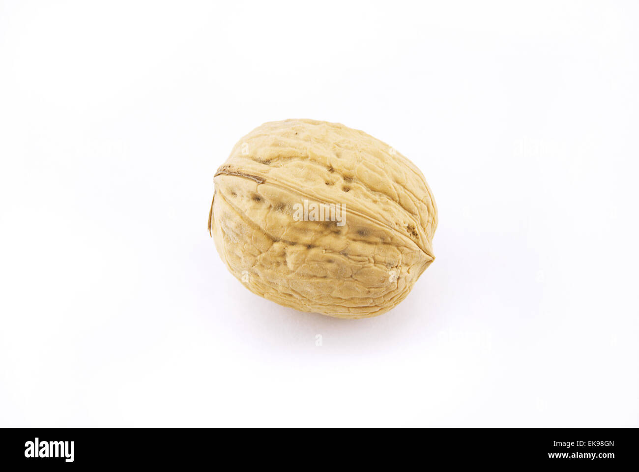 Walnut isolated on white Stock Photo - Alamy