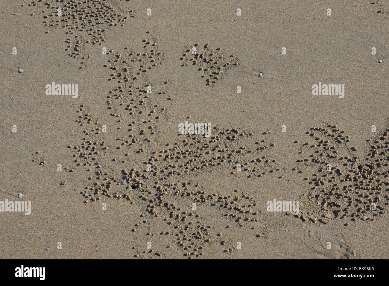 Sand pellets hi-res stock photography and images - Alamy