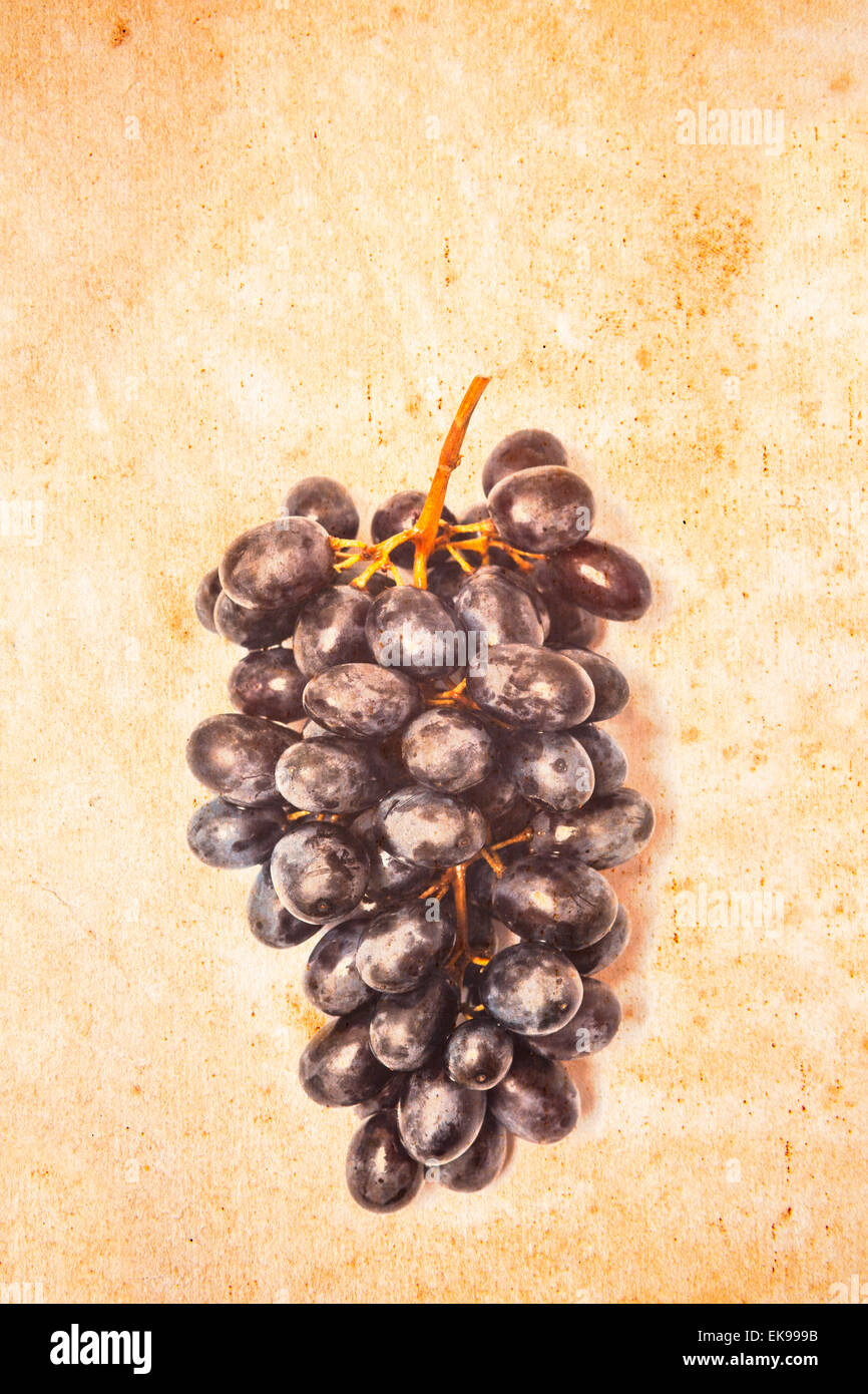 bunch of grapes on old paper sheet Stock Photo - Alamy