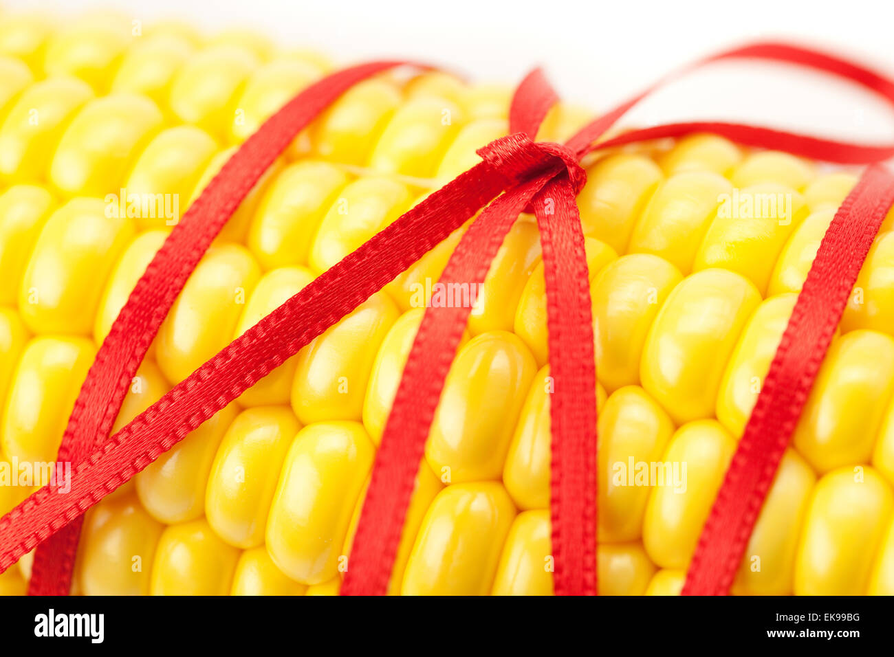 Corn tied with ribbon isolated on white Stock Photo - Alamy