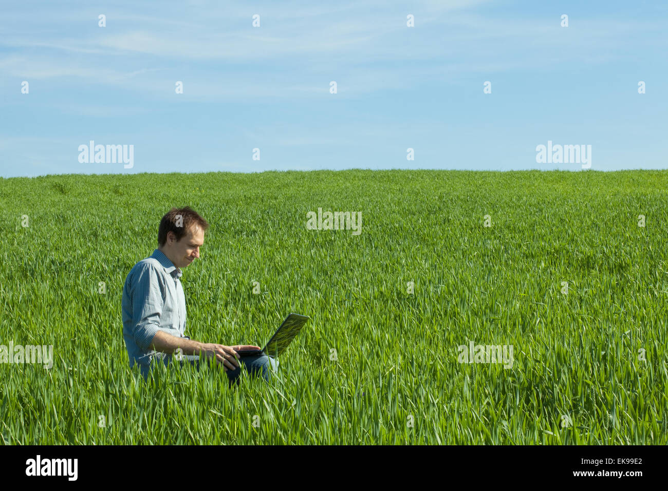 young man using laptop in the field Stock Photo - Alamy