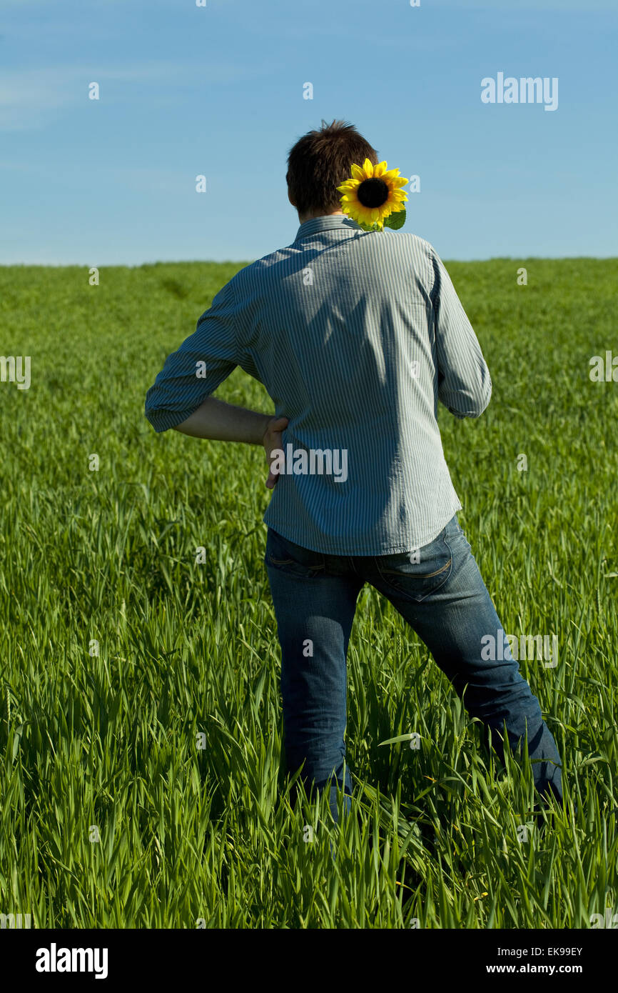 young man standing with a sunflower in the green field Stock Photo - Alamy