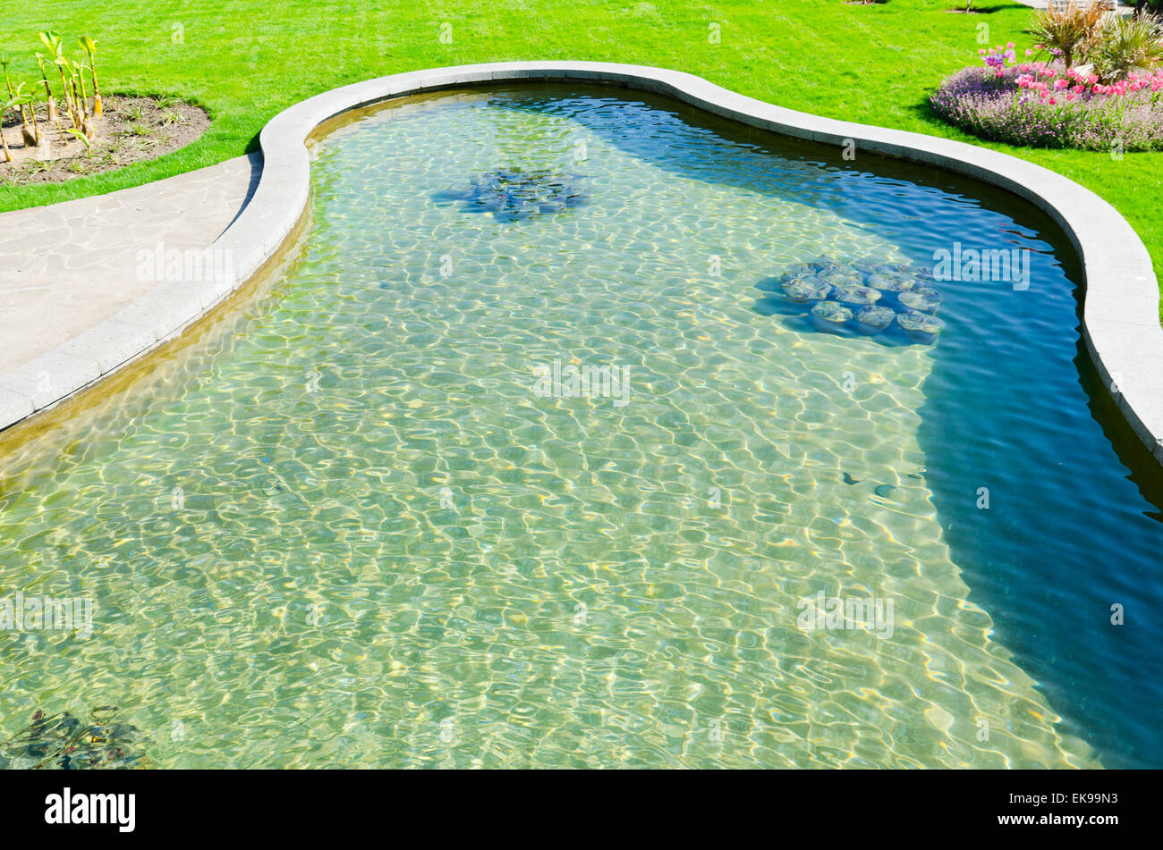 water pool in park Stock Photo - Alamy