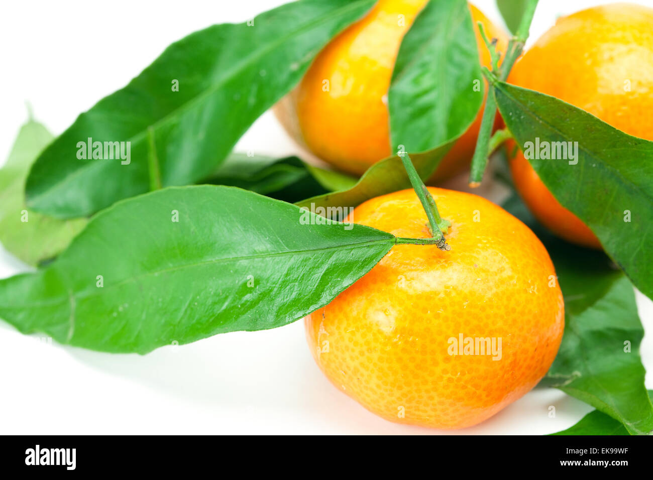 mandarin with green leaves isolated on white Stock Photo - Alamy