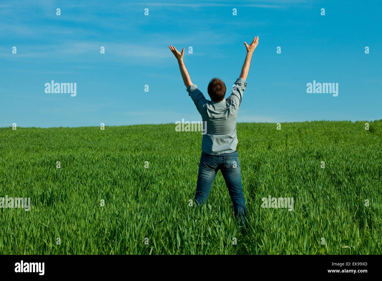 man in the field Stock Photo - Alamy