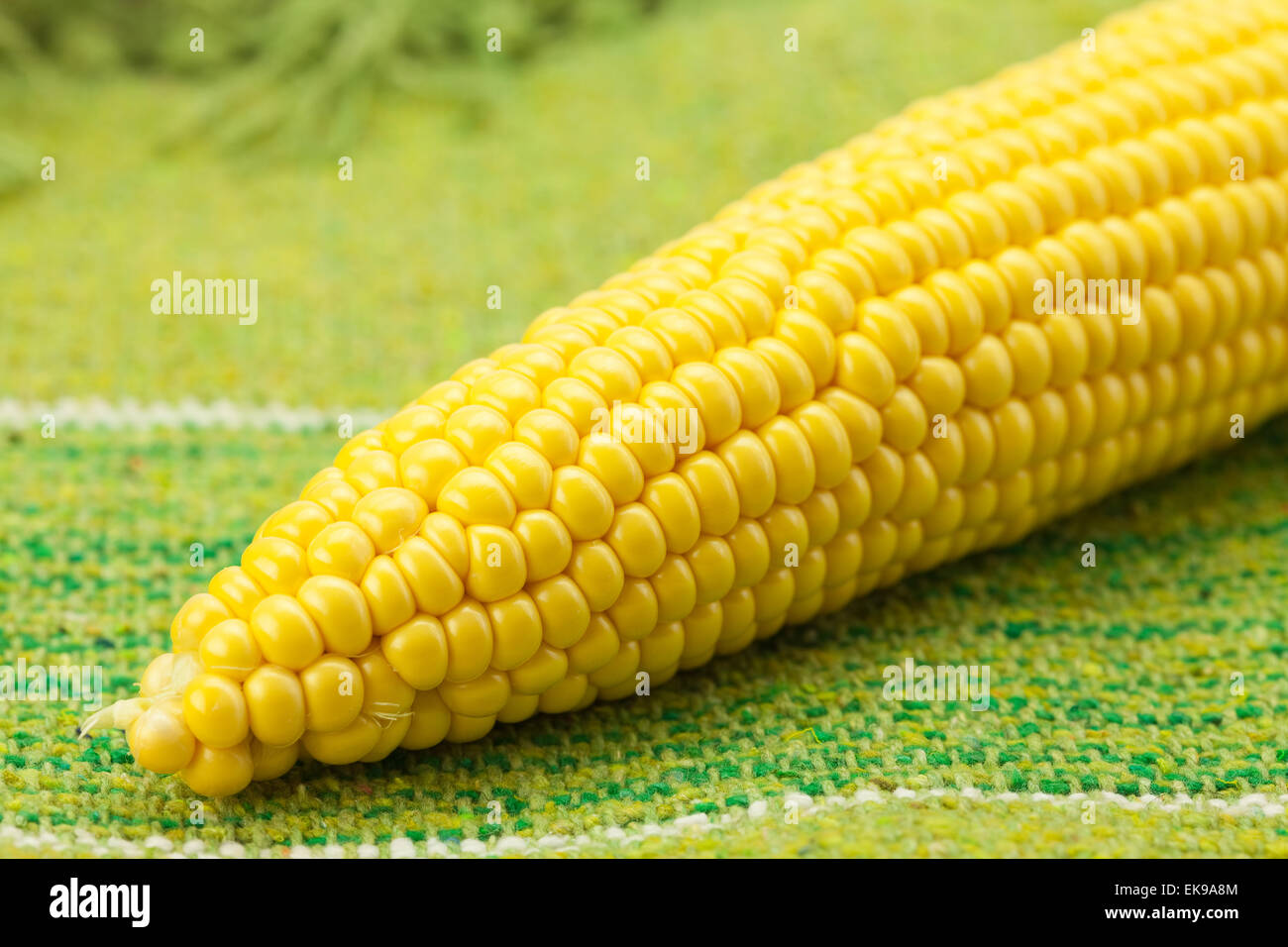 Group sweet corn on hi-res stock photography and images - Alamy