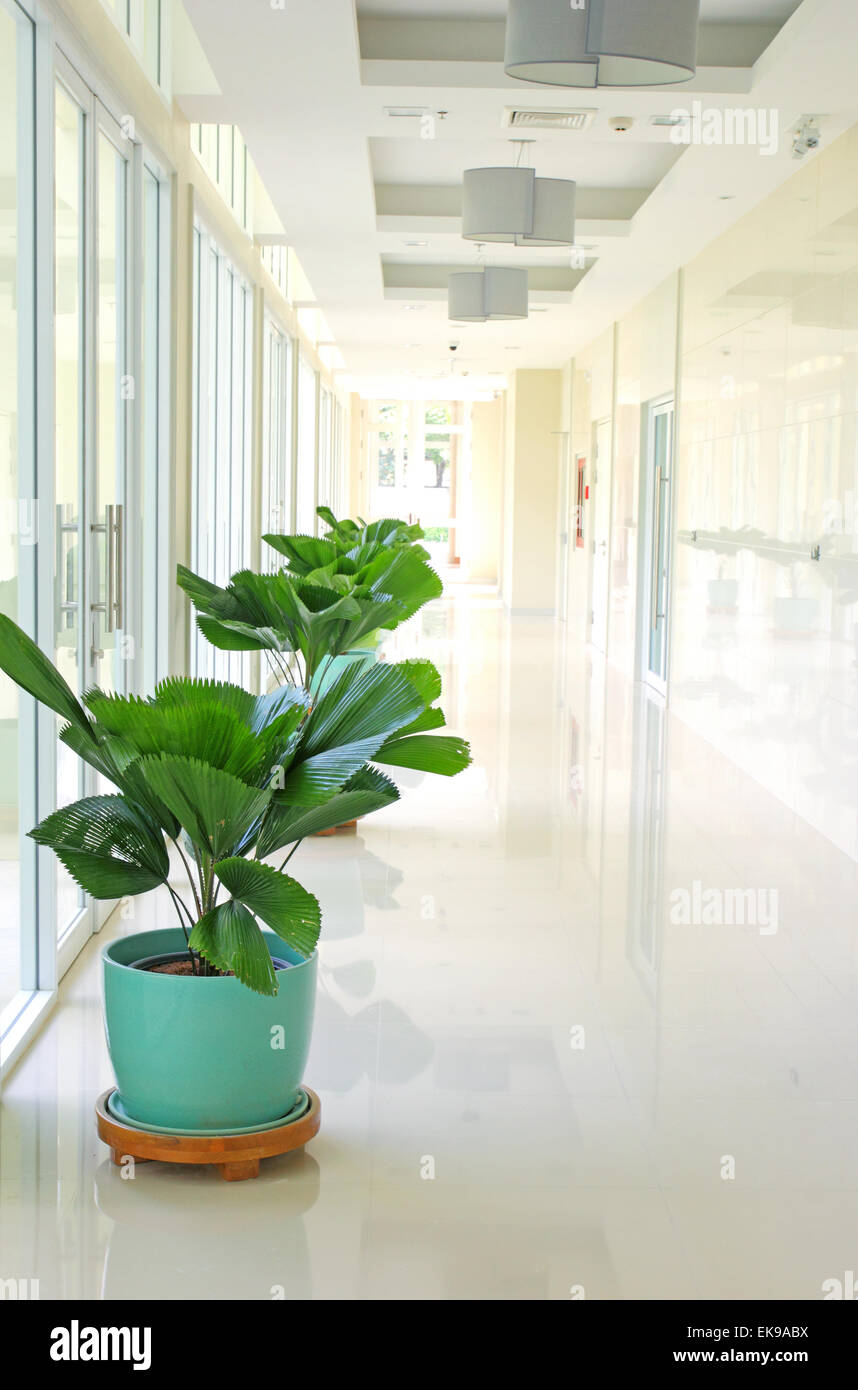 Hall way house interior hi-res stock photography and images - Alamy