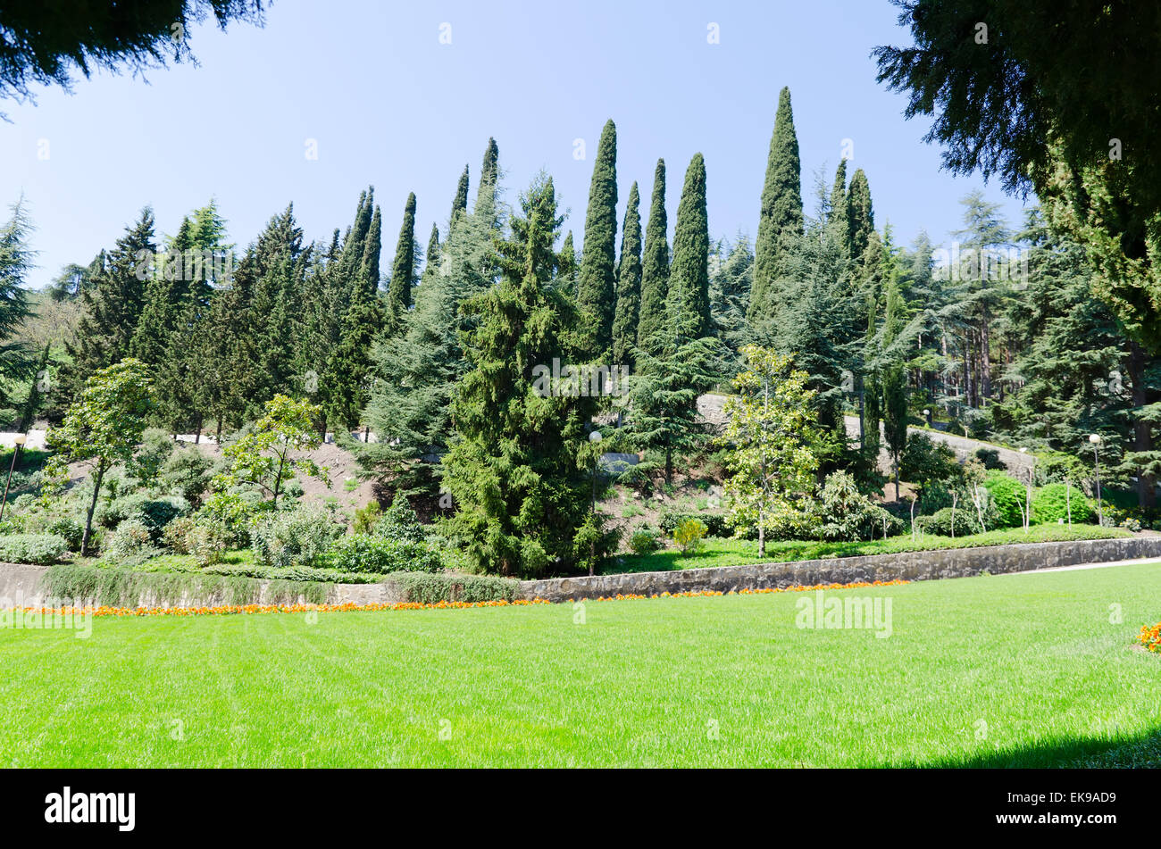 green park with trees and grass Stock Photo - Alamy