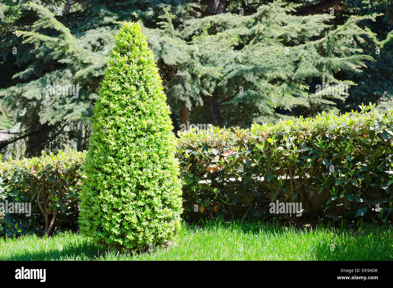 green park with little pyramid of bush Stock Photo - Alamy