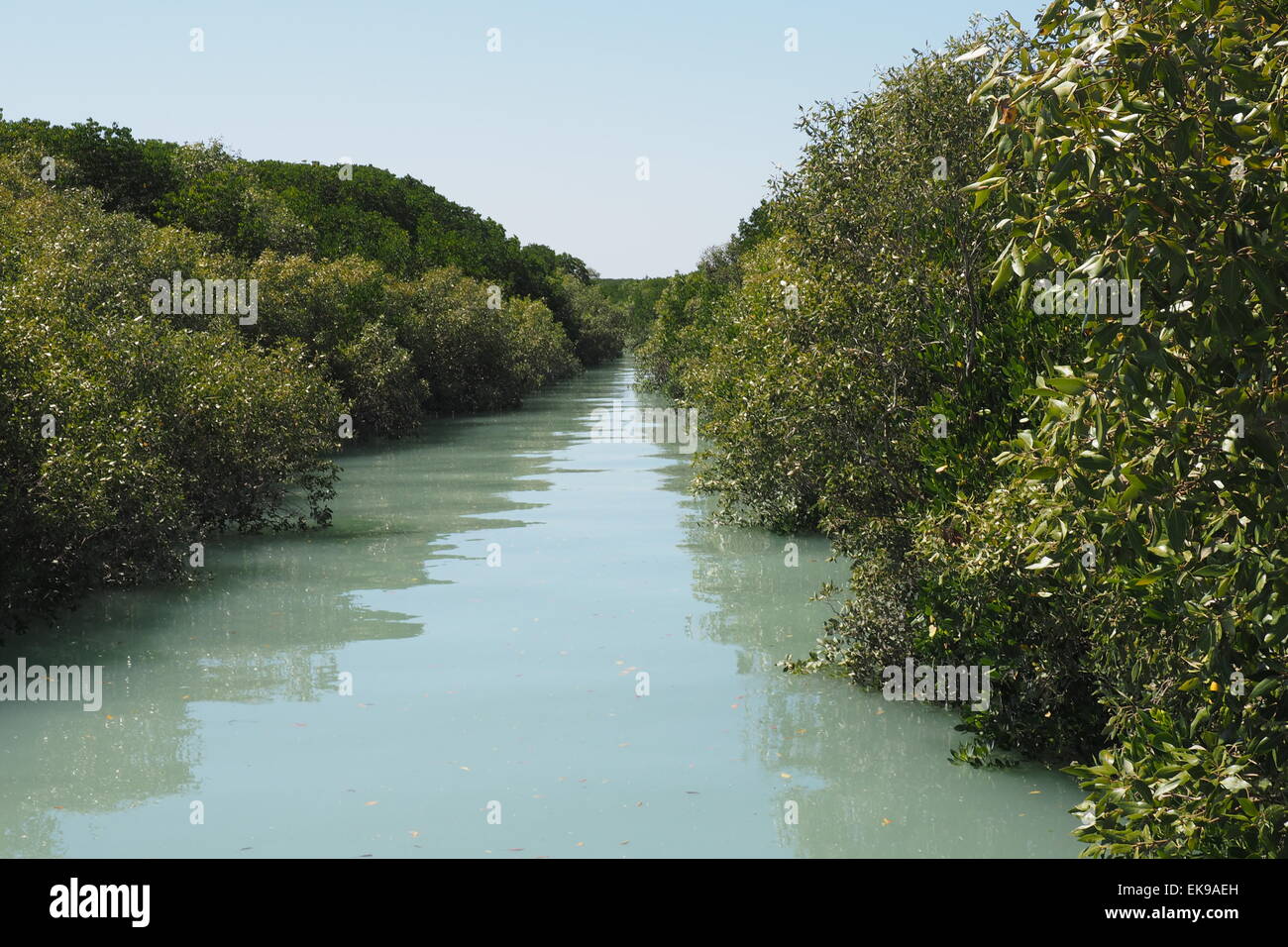 Mangroves high tide hi-res stock photography and images - Alamy
