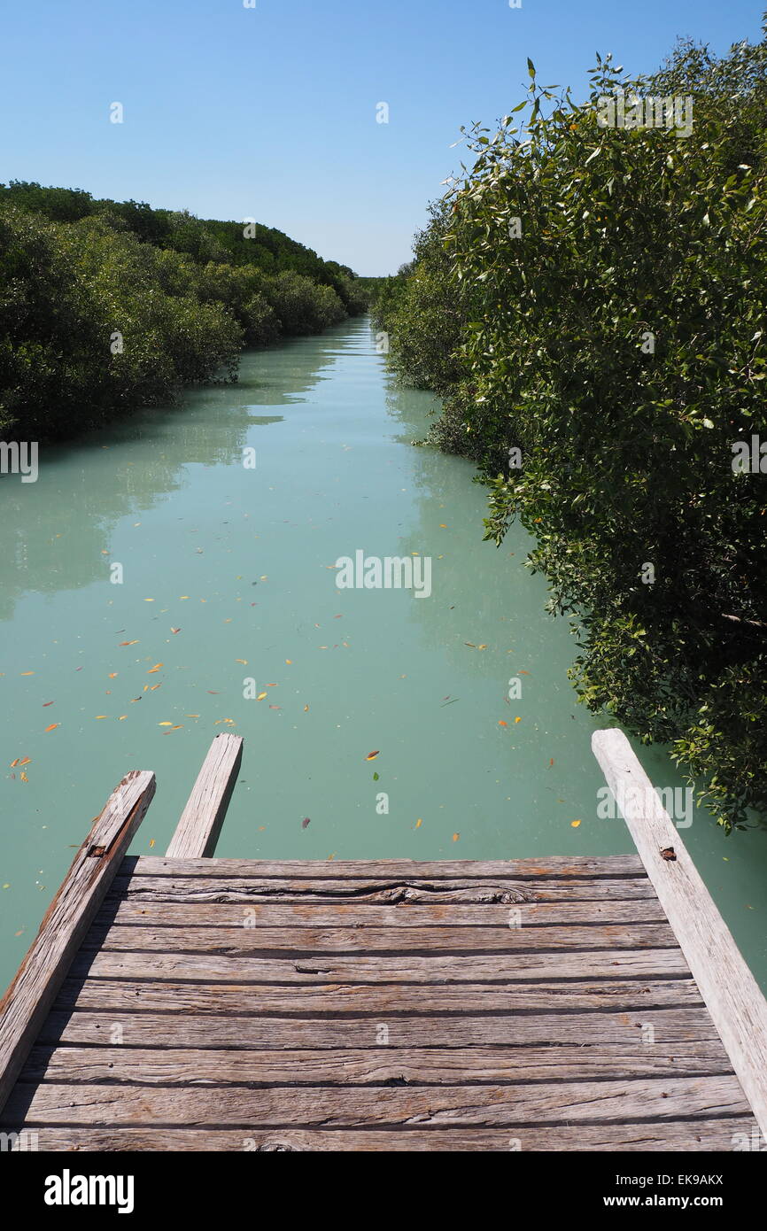 Streeter's Jetty among mangroves in Roebuck bay at high tide Stock ...