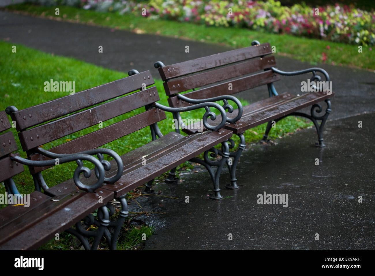 wet benches in the park on rain Stock Photo - Alamy