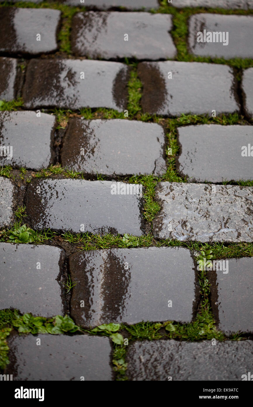 Background from the wet pavement with grass Stock Photo - Alamy