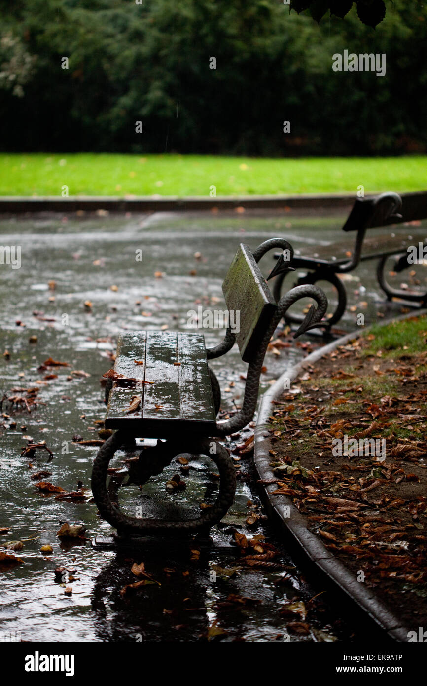 wet benches in the park Stock Photo - Alamy