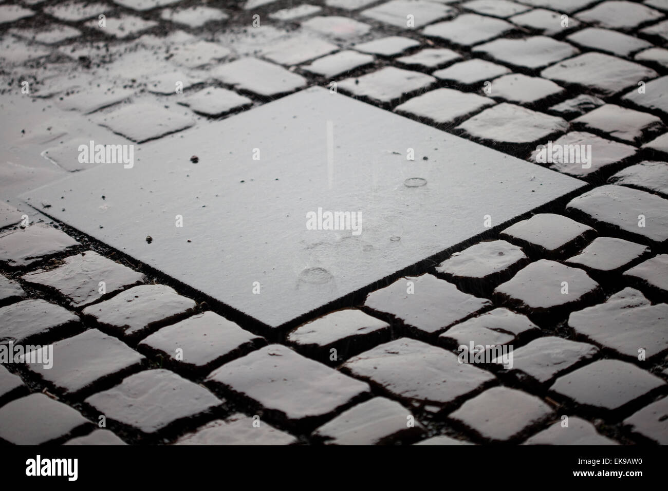 Background from the wet pavement with grass Stock Photo - Alamy
