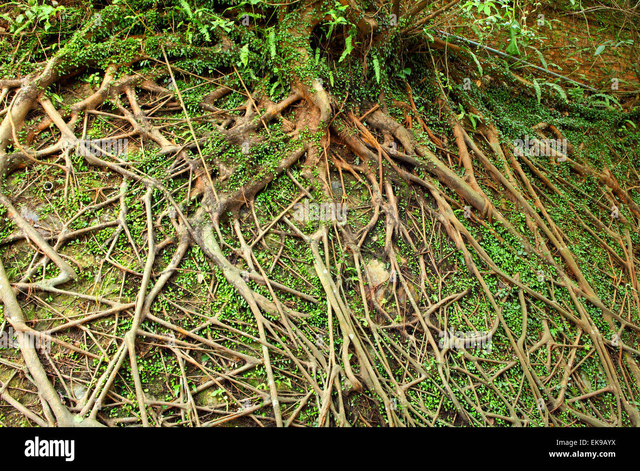 Below the design hi-res stock photography and images - Alamy