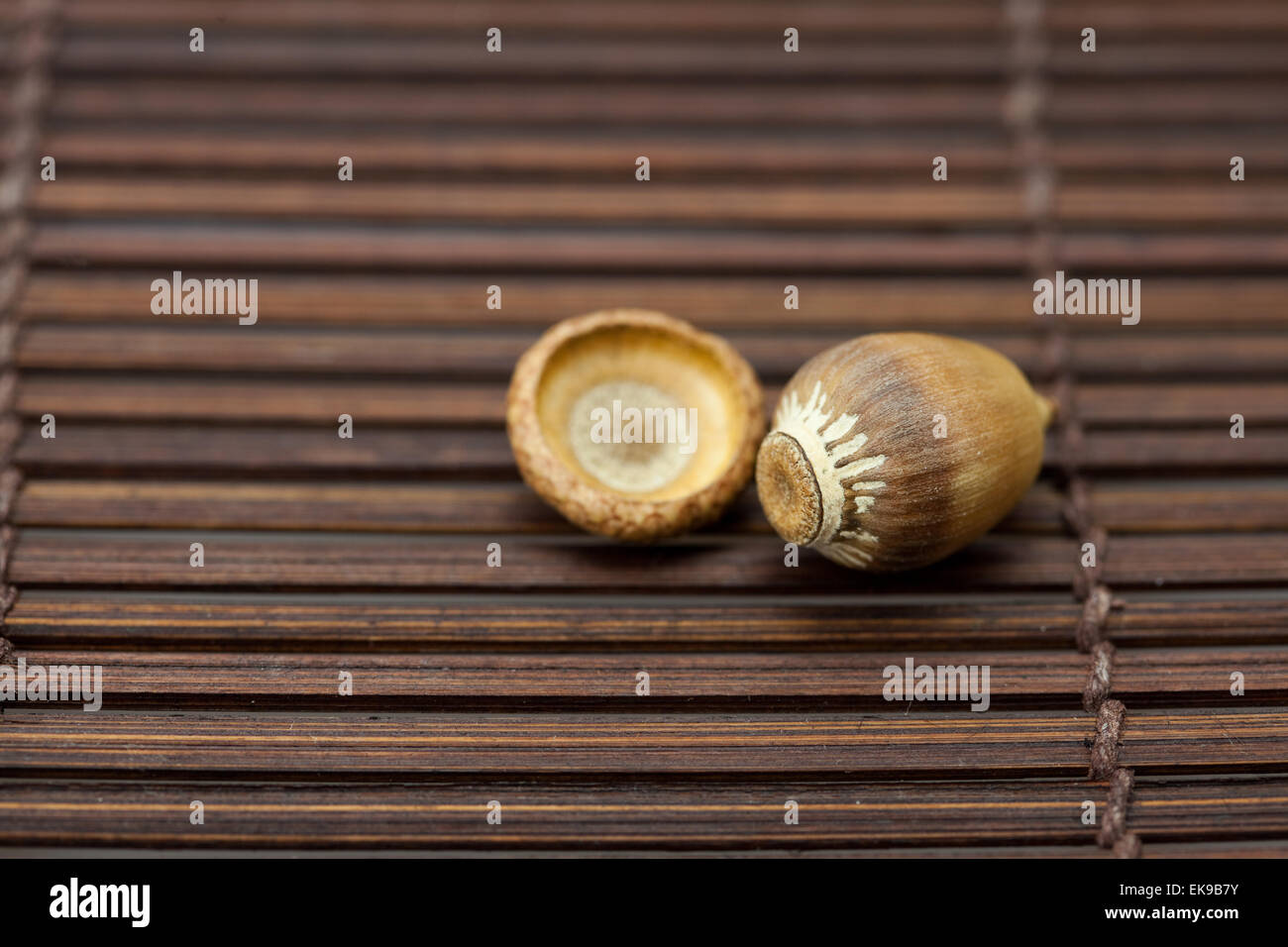 Close up single brown acorn hi-res stock photography and images - Alamy