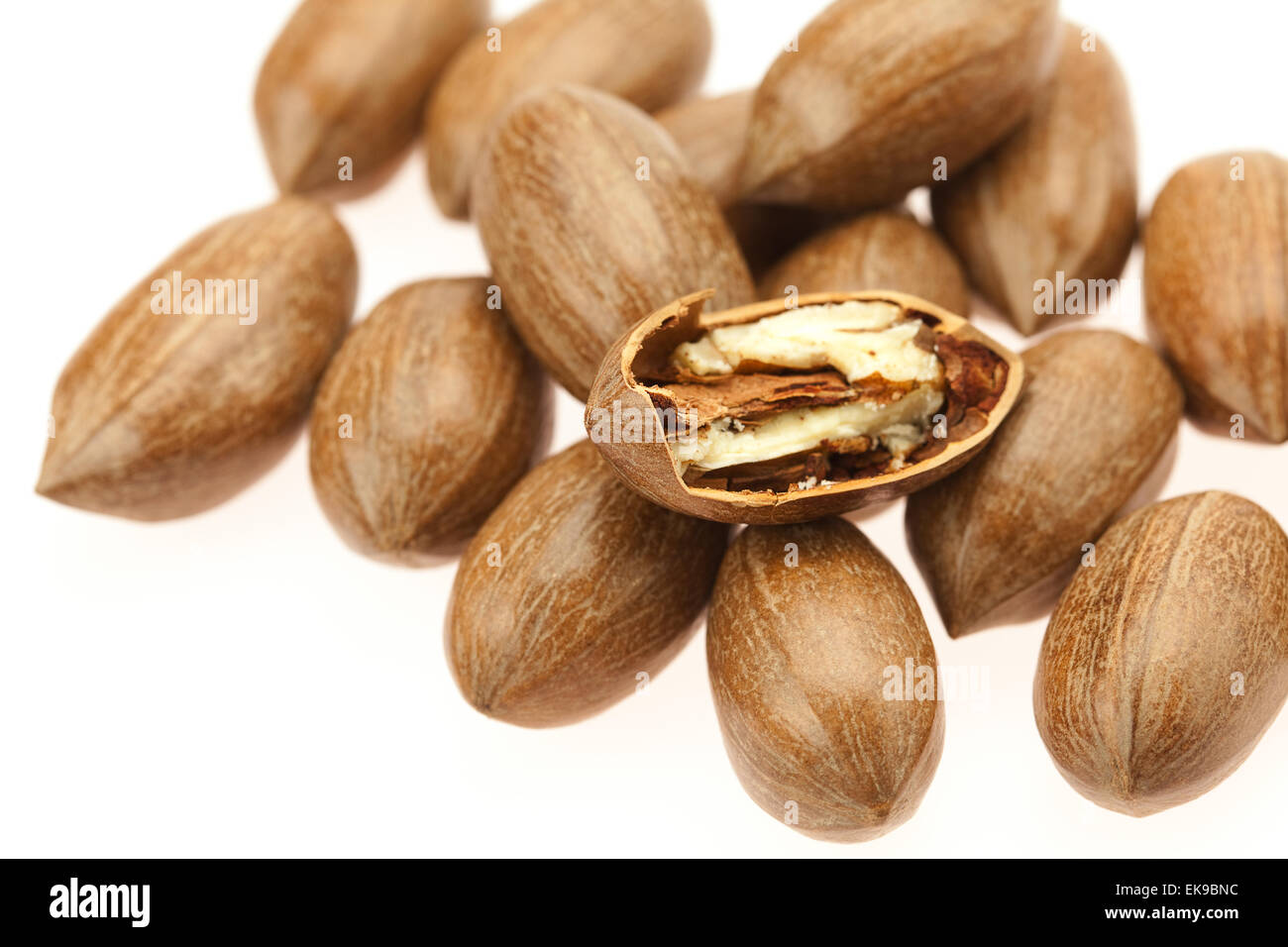 Pecan isolated on white Stock Photo - Alamy