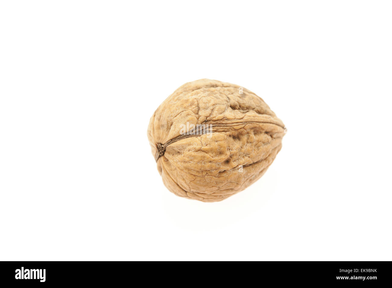 Walnuts on tree Cut Out Stock Images & Pictures - Alamy
