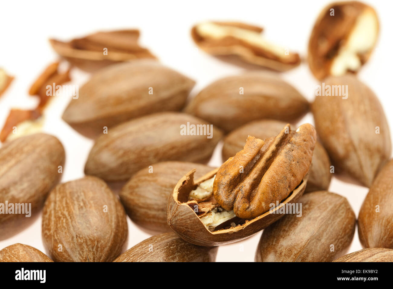 Pecan isolated on white Stock Photo - Alamy