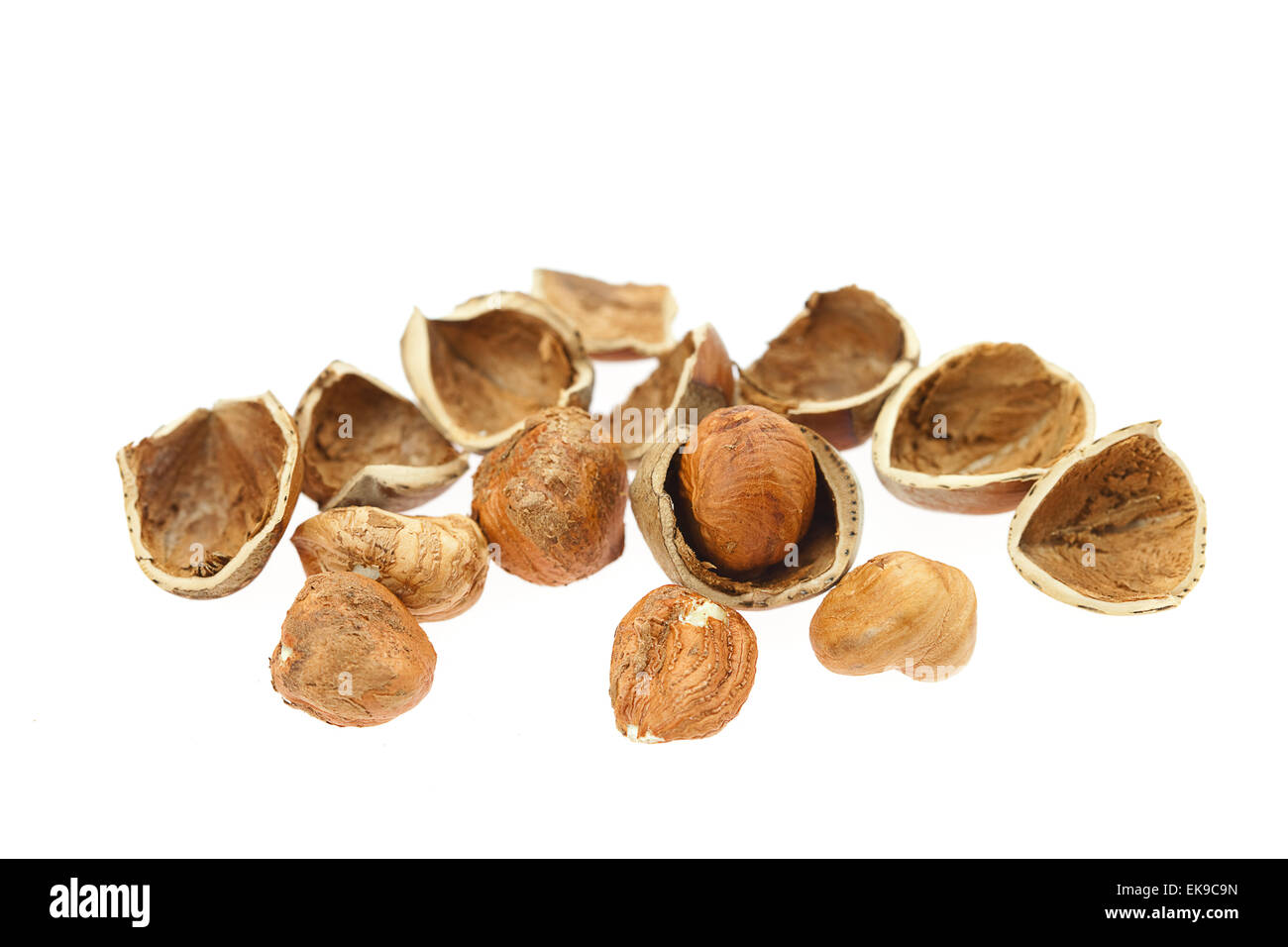 hazelnuts isolated on white Stock Photo - Alamy