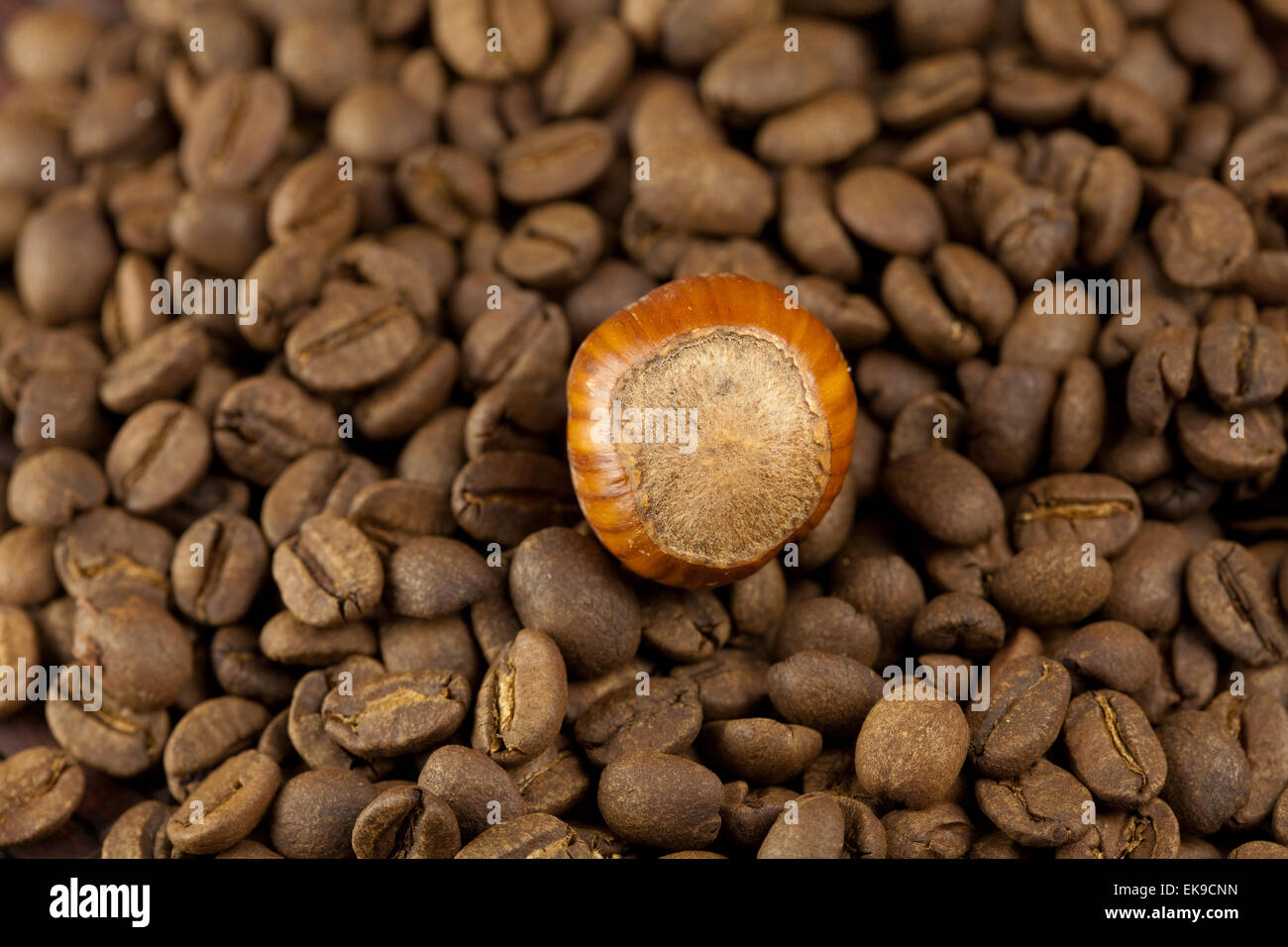 background of the coffee beans and hazelnut Stock Photo - Alamy