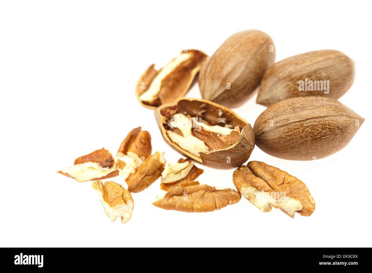 Pecan isolated on white Stock Photo - Alamy