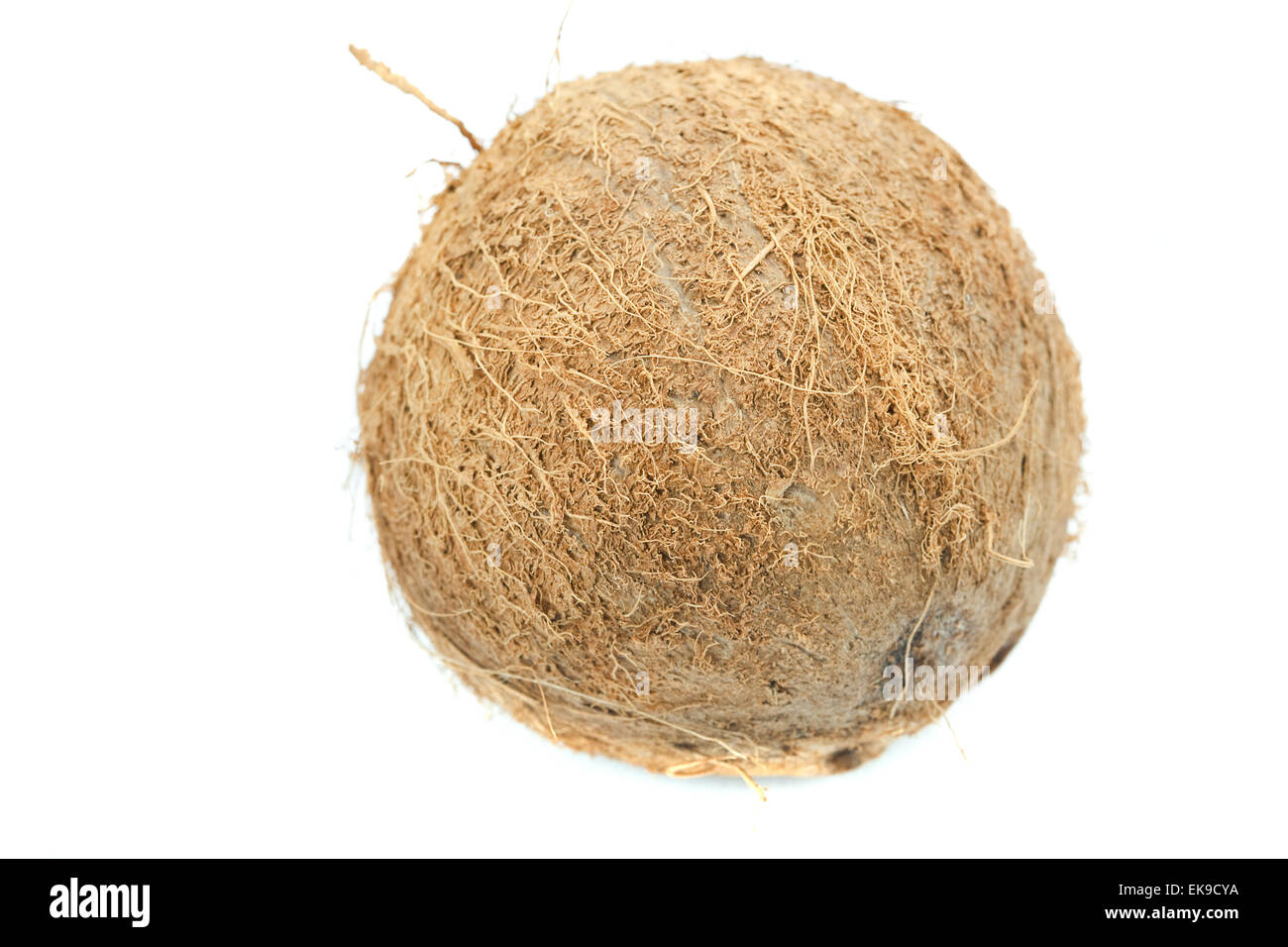 Coconut single image hi-res stock photography and images - Alamy