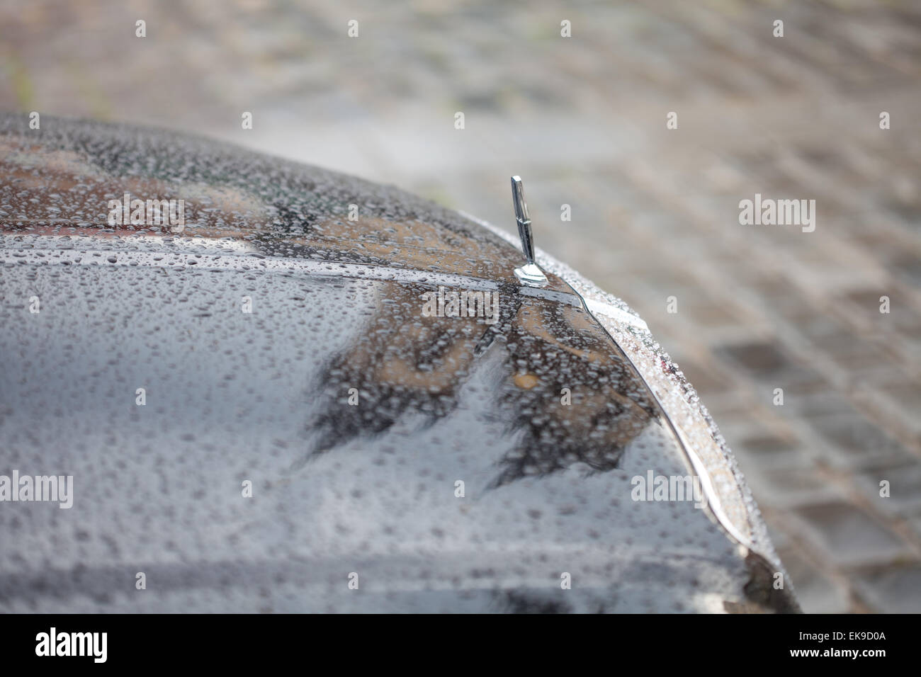 Transparent car hood hi-res stock photography and images - Alamy