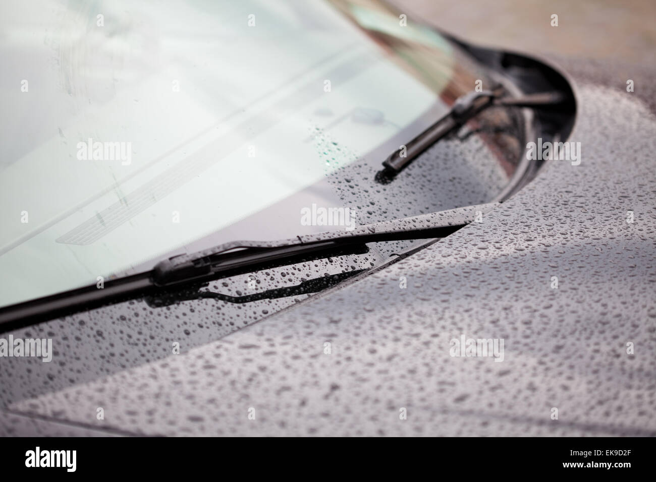 water droplets on the hood of a car Stock Photo - Alamy