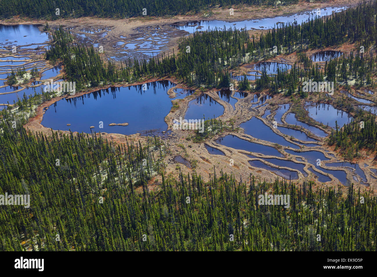 An aerial view of a patterned fen found in the northern boreal forest ...