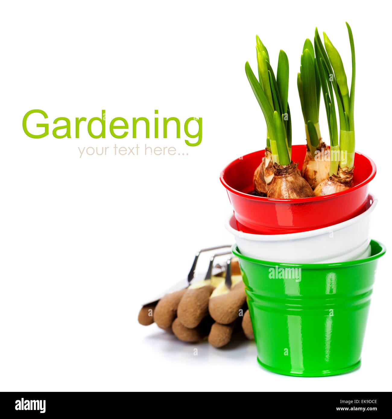 Spring flowers frame on Cut Out Stock Images & Pictures - Alamy