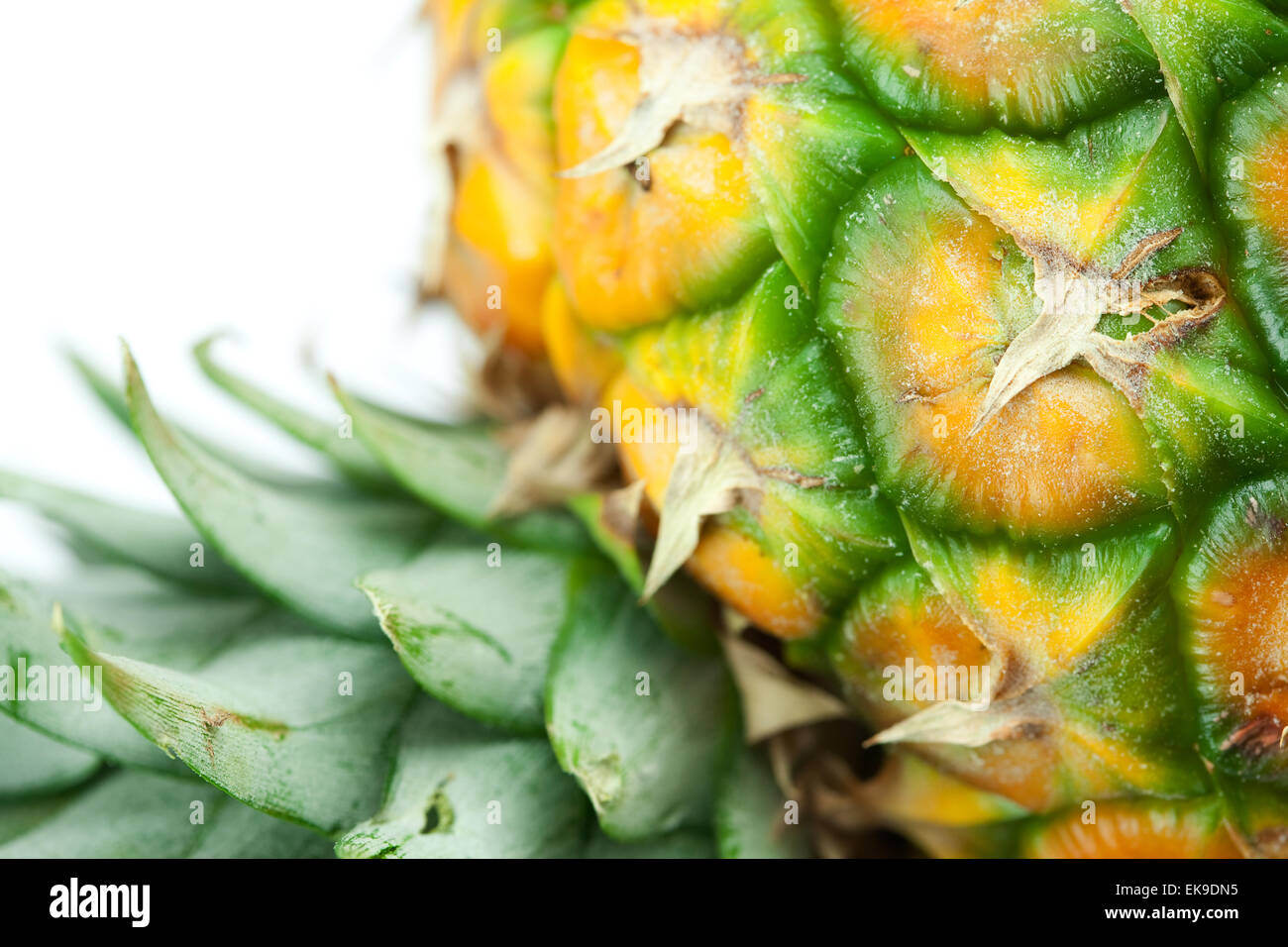pineapple isolated on white Stock Photo - Alamy