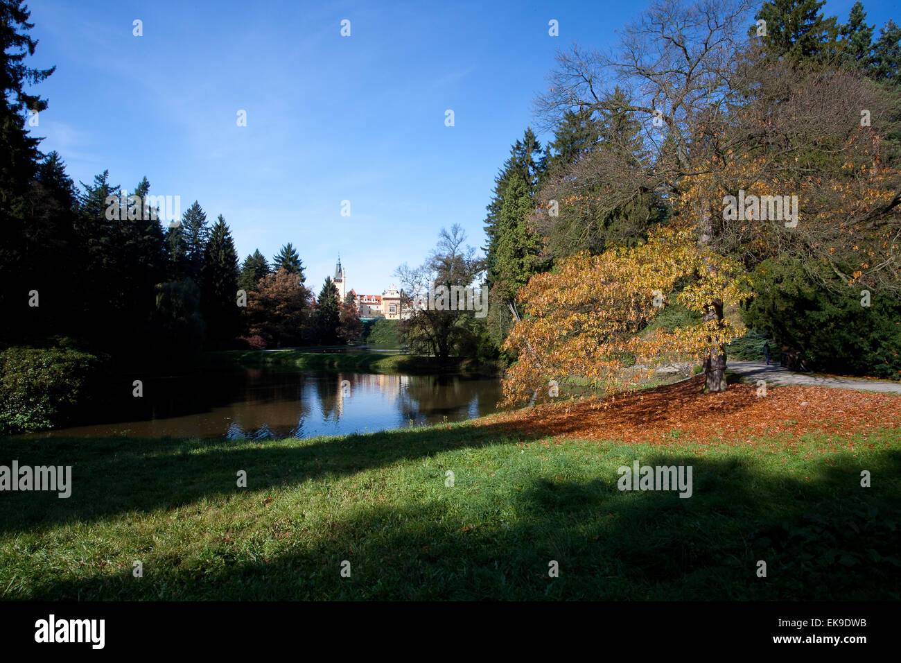 autumn woods and a medieval castle in the background Stock Photo - Alamy