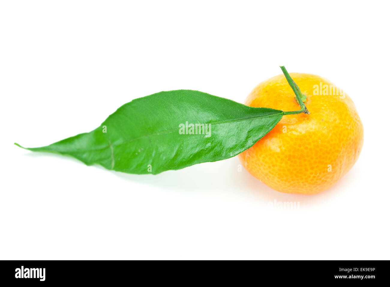 mandarin with green leaves isolated on white Stock Photo - Alamy