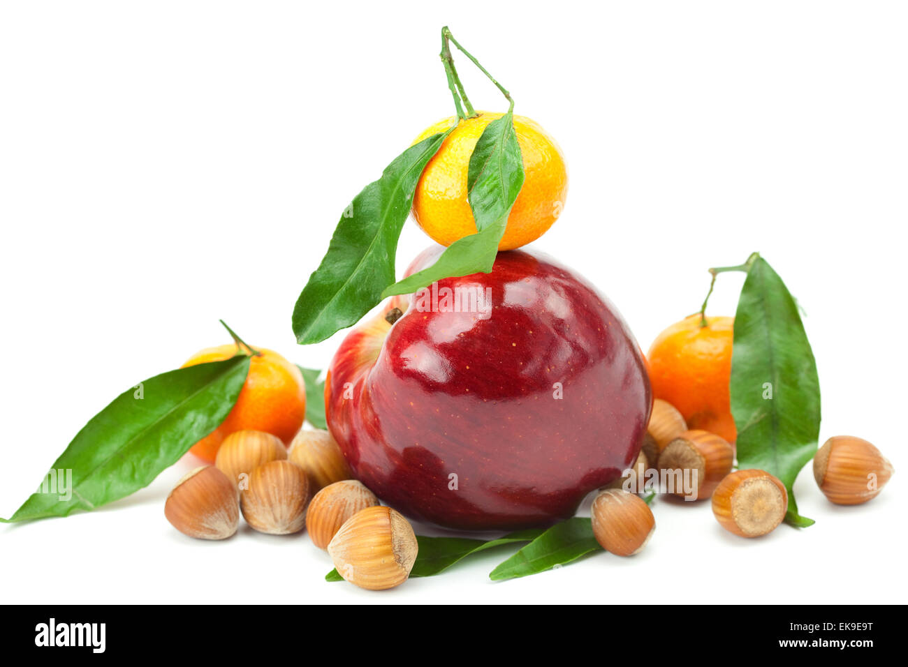 Close up green hazelnut leaves Cut Out Stock Images & Pictures - Alamy