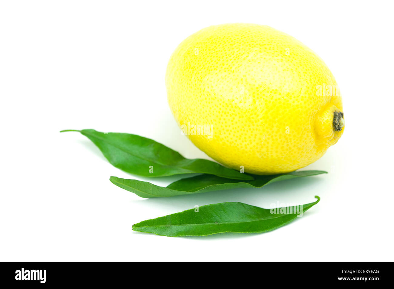 lemon with green leaf isolated on white Stock Photo - Alamy